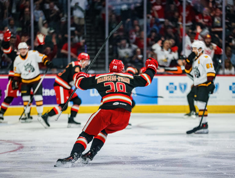 Michael Brandsegg-Nygård, Detroit Red Wings prospect, lights it up in AHL