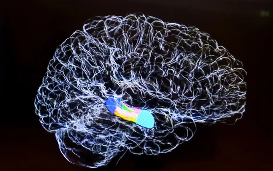 How your brain learns to fear and adapt