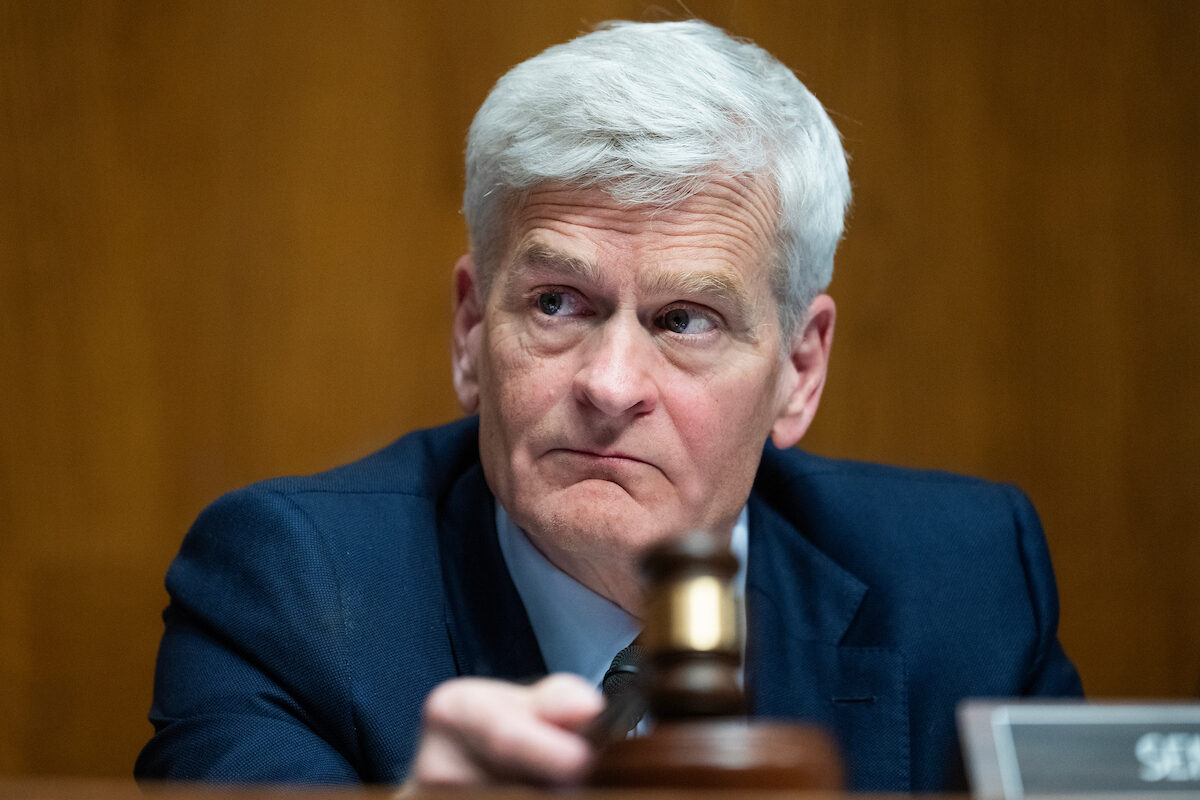 Cassidy loses GOP primary in Louisiana as Trump-backed Letlow, Fleming ...