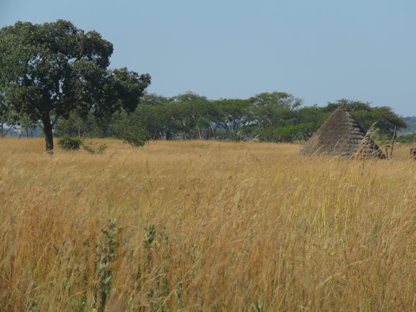 409 farmers in Zimbabwe, it’s all as clear as mud