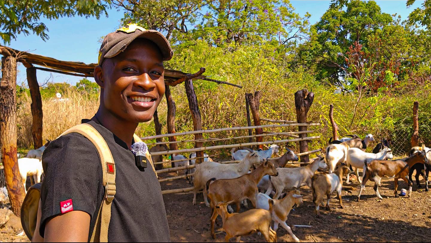 Zimbabwe’s diaspora reshapes real estate and farming investment trends