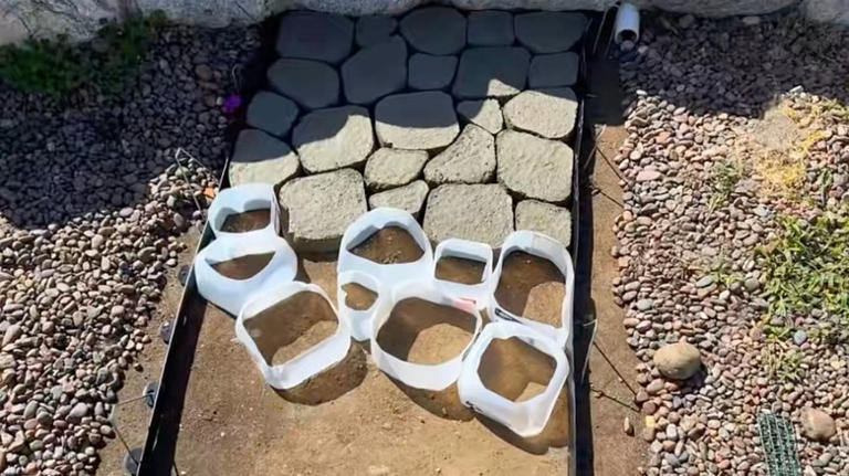 Old milk jugs are the secret to a stunning faux-stone garden path on a ...