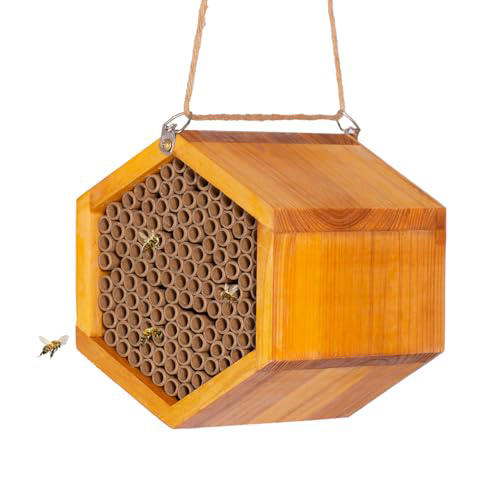 This mason bee house is going to boost my summer harvests: Pollinators ...