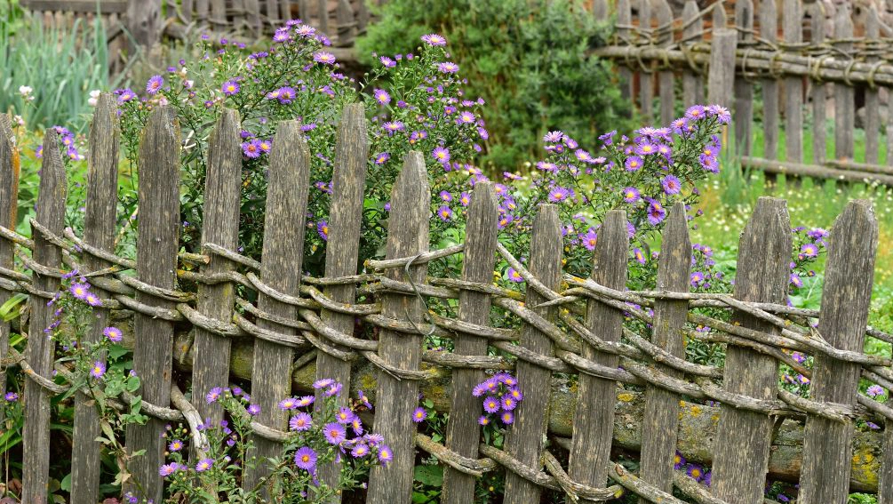 House Digest warns of hidden downsides to garden fencing
