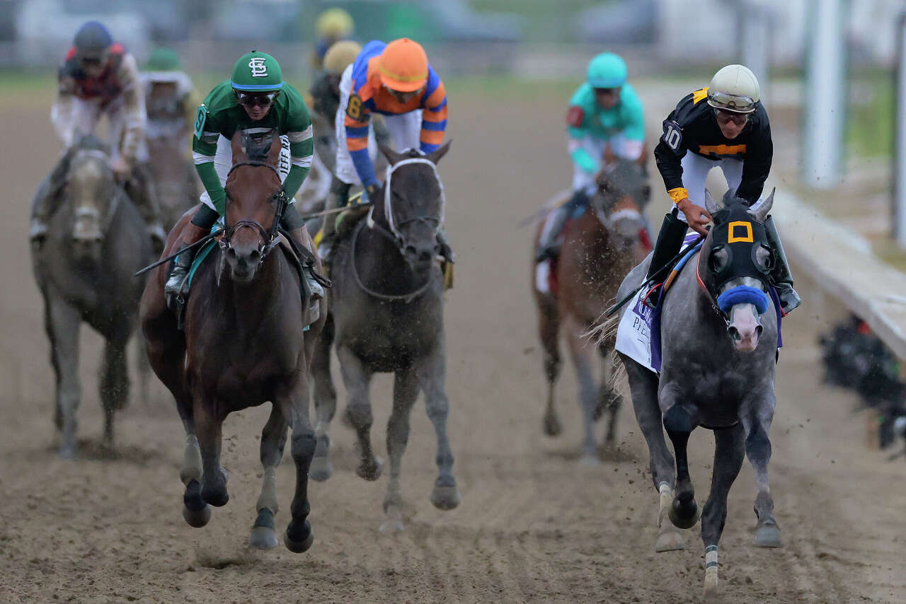 Napoleon Solo wins 2026 Preakness Stakes over Iron Honor