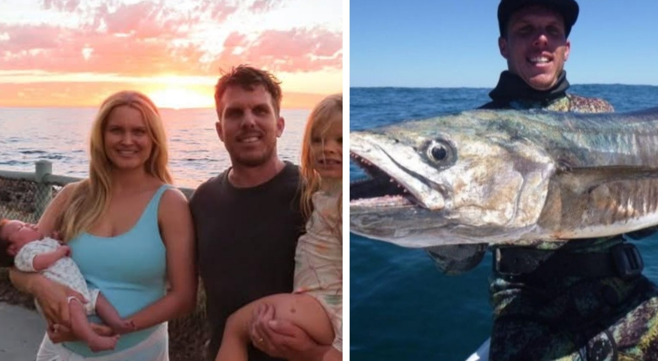 Ucciso da uno squalo bianco in Australia, chi era Steven Mattaboni ...