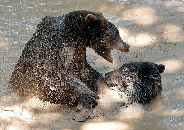 Incredible UK zoo with 10,000 animals closed forever - opened in 1836
