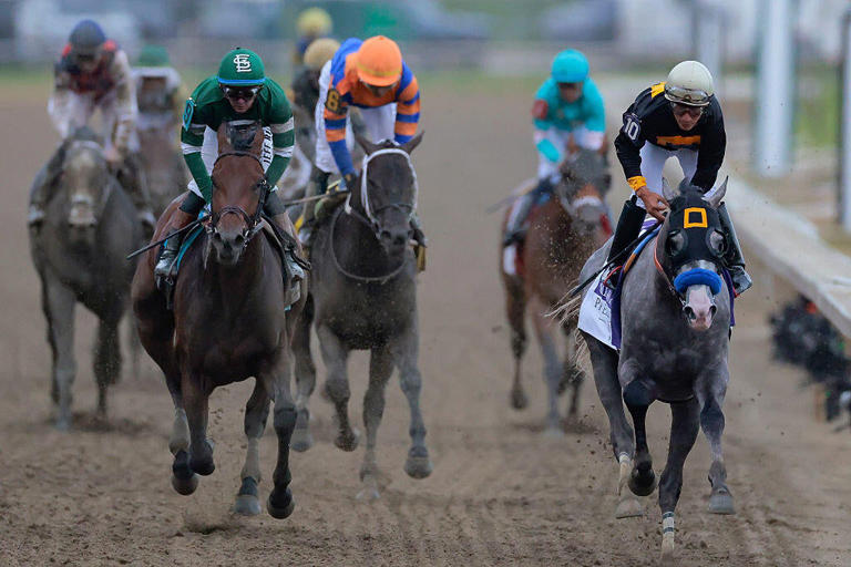 Meet the horses who ran in the Preakness Stakes