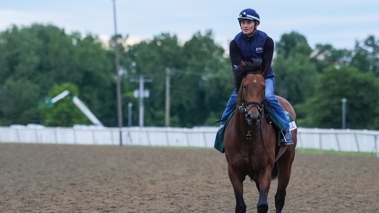 Preakness Derby finishing order: Who won at Laurel Park? Where did Taj ...