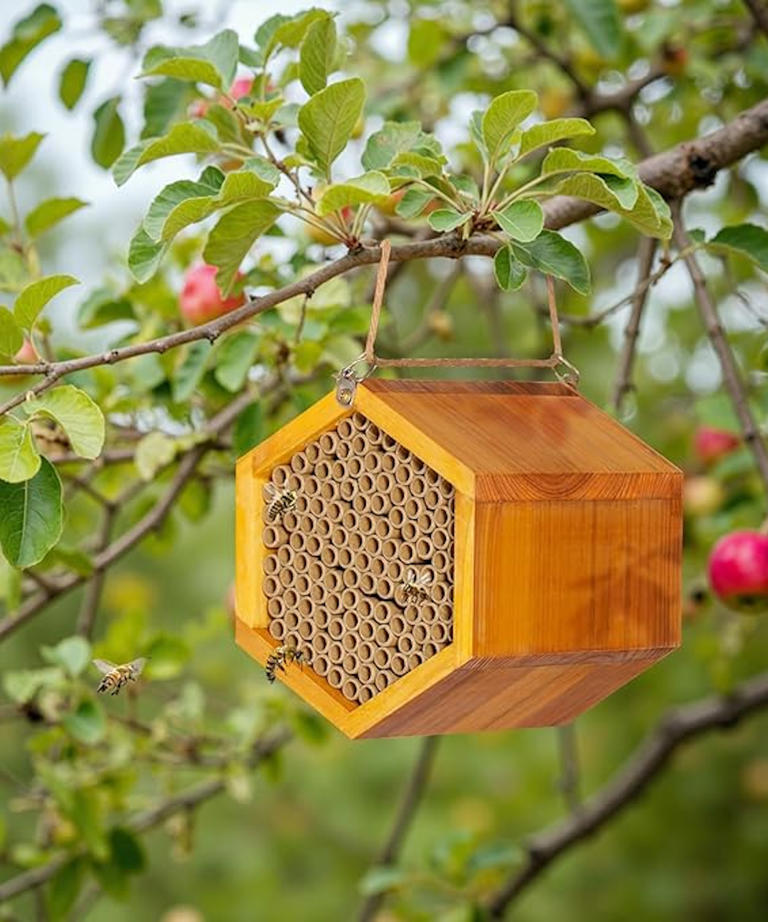 This mason bee house is going to boost my summer harvests: Pollinators ...
