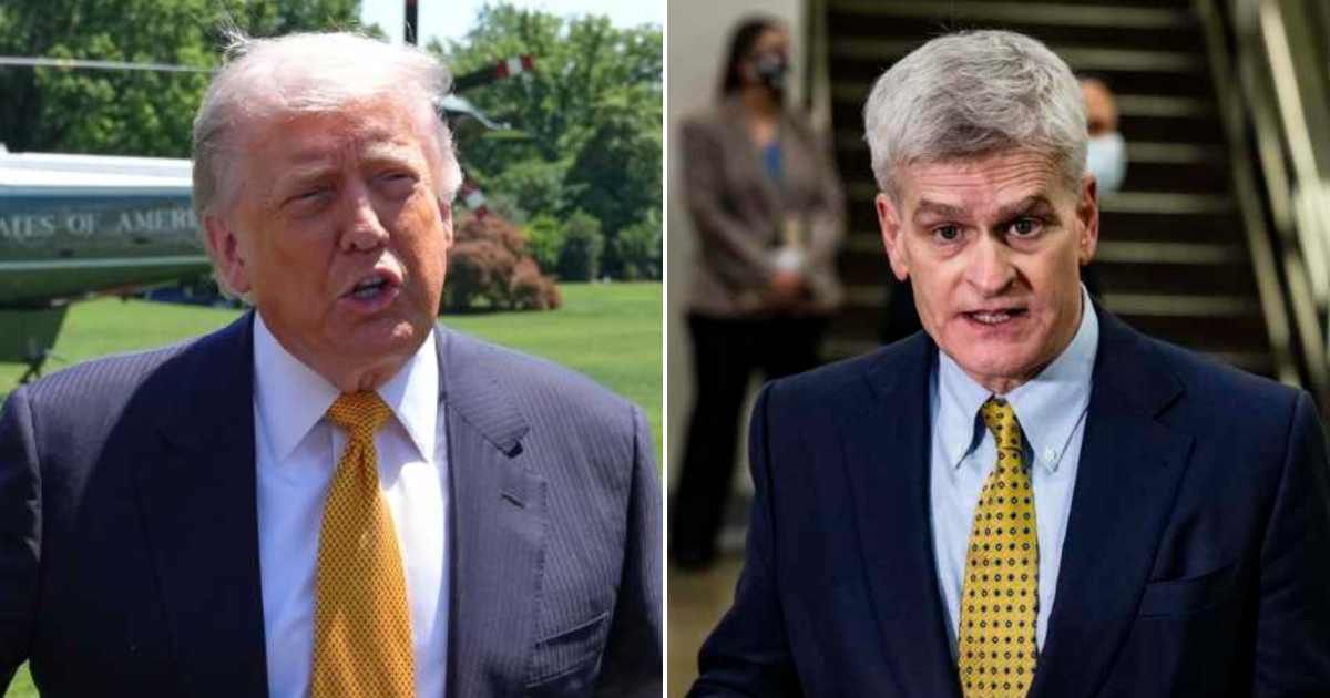 Trump mocks Bill Cassidy after primary loss: 'Nice to see that his ...