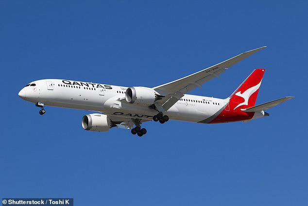Qantas passenger is kicked off international flight after allegedly ...