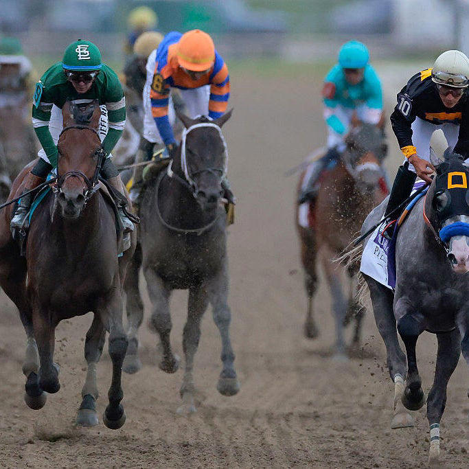 Meet the horses who ran in the Preakness Stakes