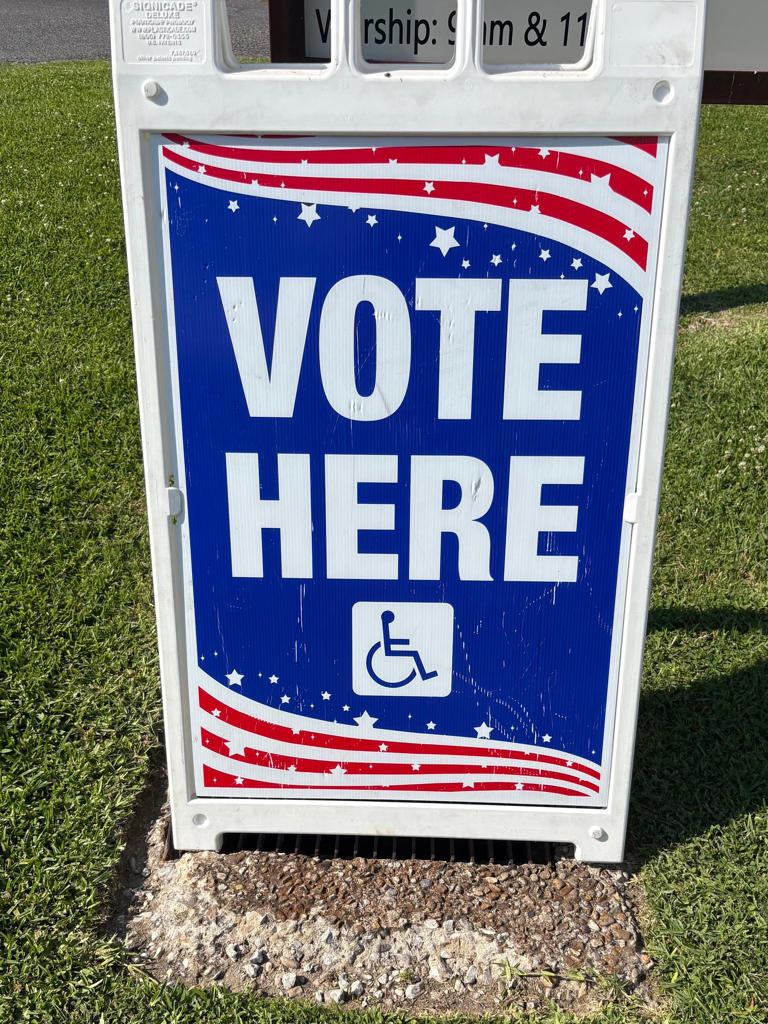 Louisiana House elections are back on with radical changes for voters