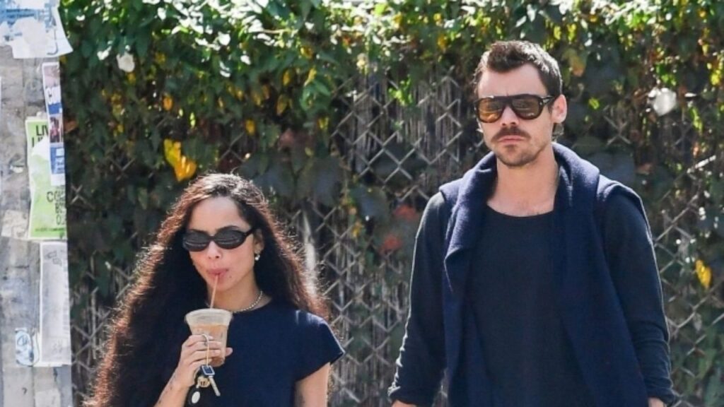 Zoë Kravitz cheers on Harry Styles as Together, Together tour opens in ...