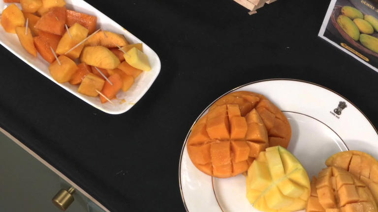 Indian mangoes arriving at Costco stores in Washington