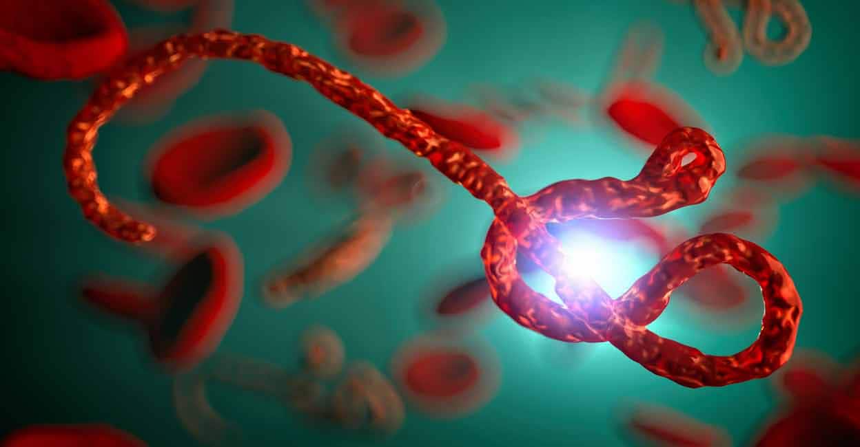 Ebola virus: India issues health advisory for passengers from three ...