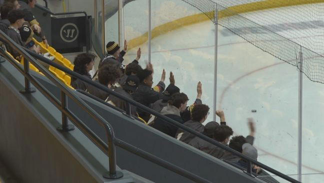 Blackstone Valley boys hockey team to stay together after possibility ...
