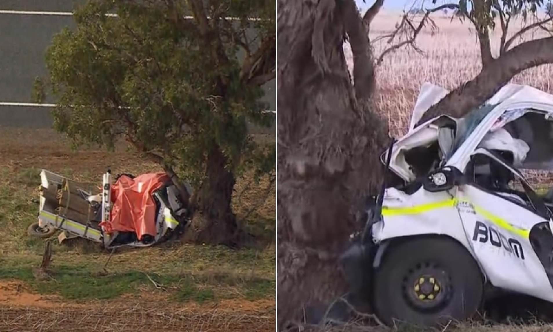 Notorious teen offender dead after stolen ute slams into tree as two ...