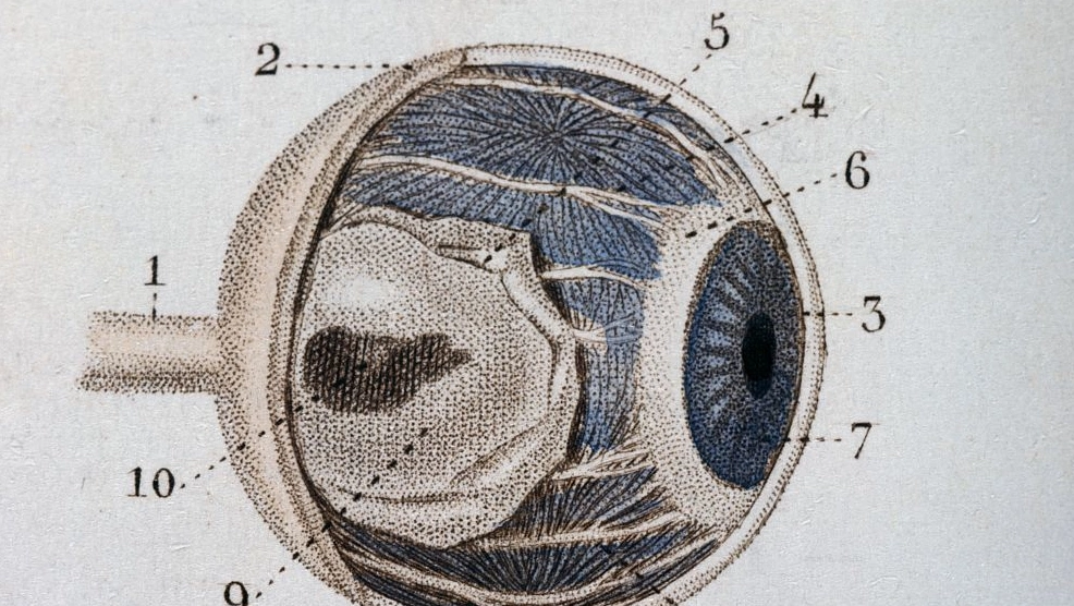 What your eye floaters might be telling you