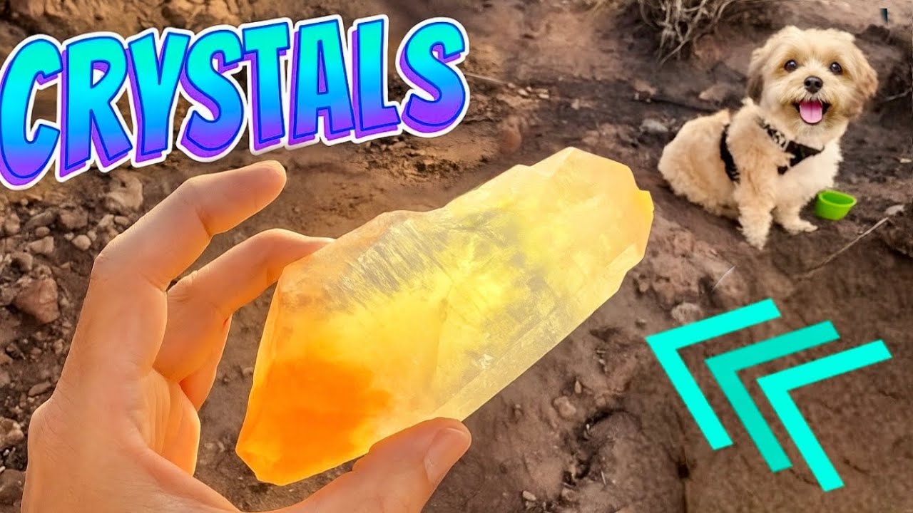 We found amazing golden selenite crystals in Utah!
