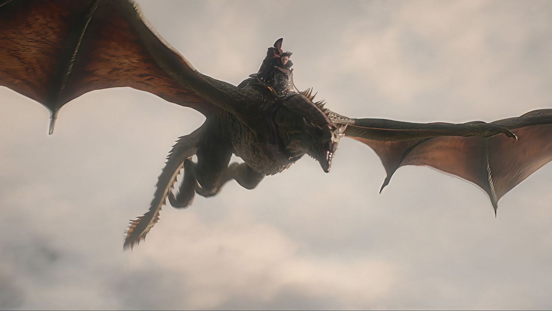 Amazon Prime's 'Fourth Wing': Confirmation, cast, plot, & everything we ...