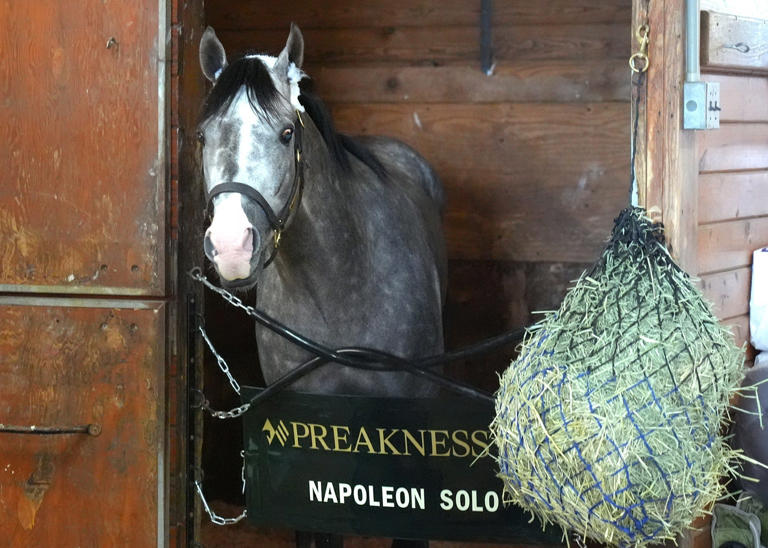 Napoleon Solo wins Preakness 2026 at 7-1 odds for trainer Chad Summers