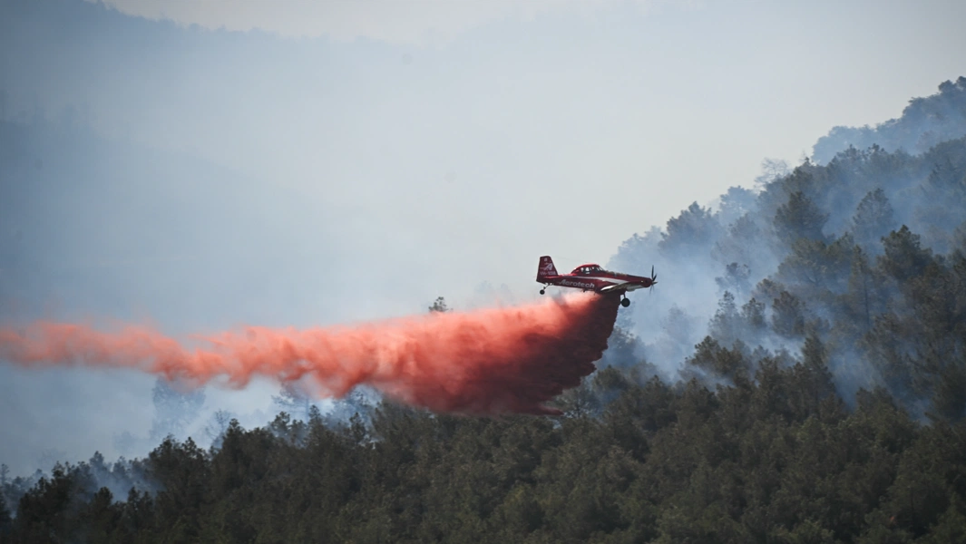 Minnesota firefighting plane hit by bullet during wildfire battle