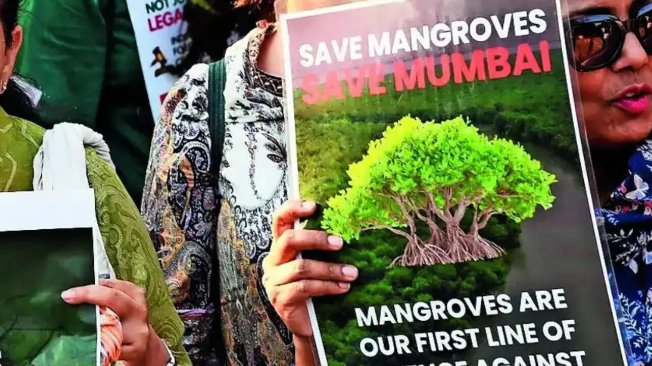 ‘Save mangroves, save Mumbai’: Human chain to protest loss of mangrove