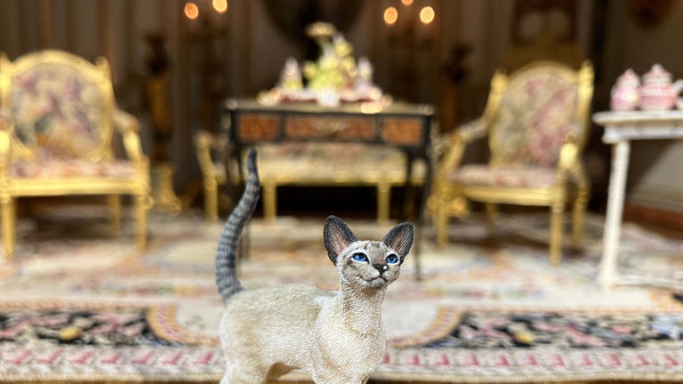 Collector's prized doll's house goes on display