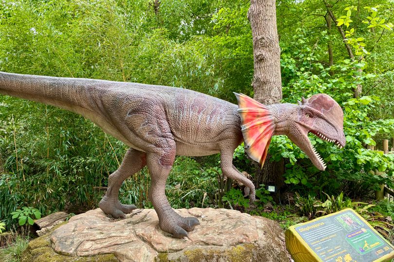 One of UK's biggest life size dinosaur walks with beast originally ...