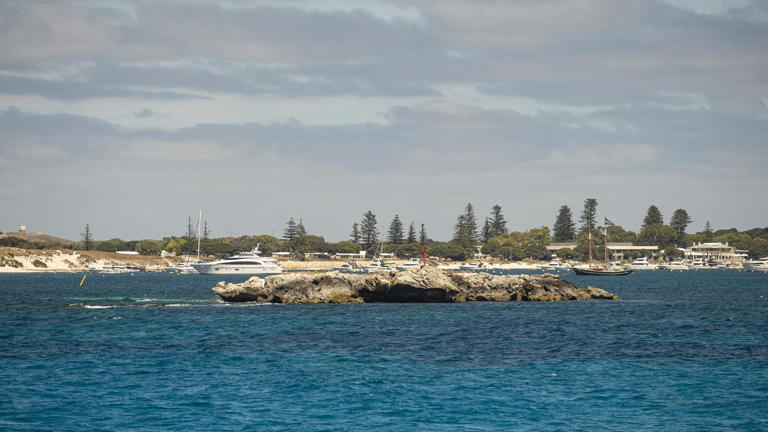 Tributes flow for father-of-two killed in shark attack