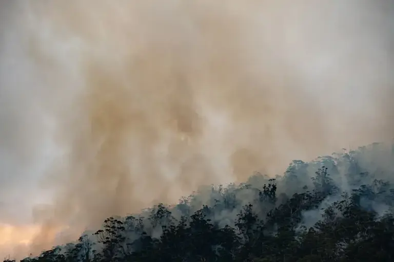 Maps reveal the parts of the US most vulnerable to future wildfires