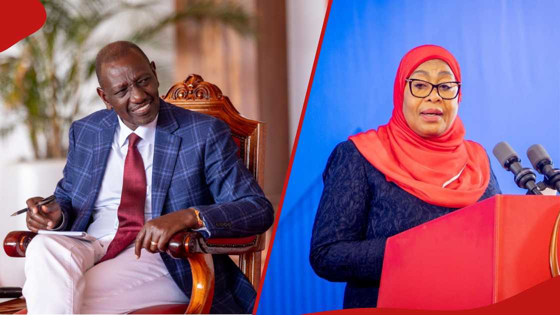 Tanzania secures KSh 48 billion IMF credit as Kenya’s new funding deal ...