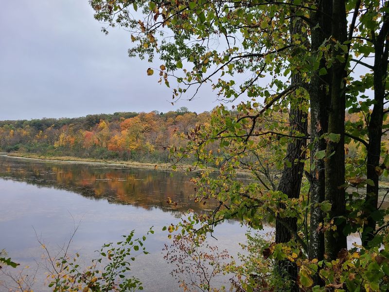 This underrated Minnesota state park delivers beautiful views without ...