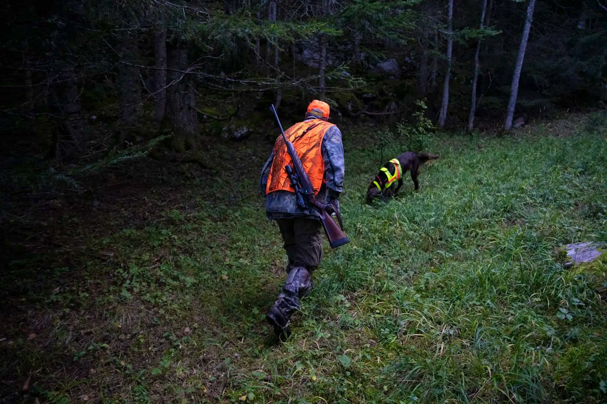 Dix mois requis contre le chasseur qui en avait tué un autre