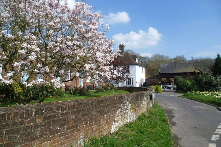 10 best walks in Kent: Stunning routes from coastal trails to ...