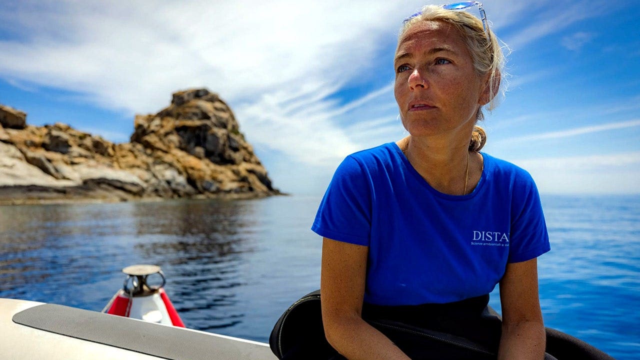 Maldives military diver dies searching for four Italian divers missing ...