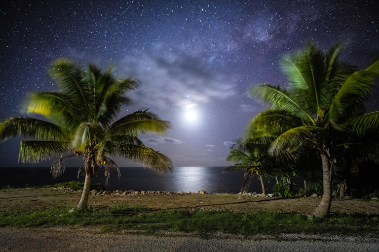 Light pollution reshapes predator-prey dynamics at California’s urban ...