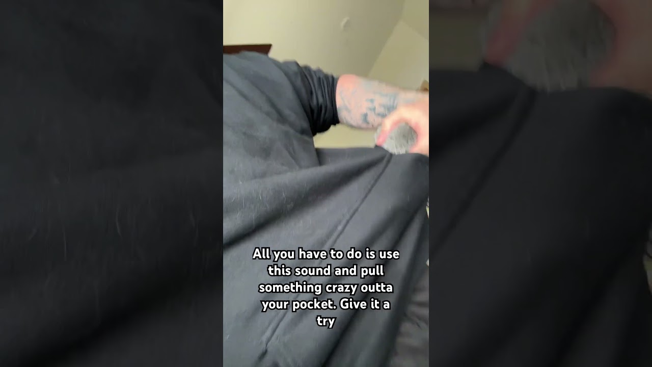 How one song and one chinchilla can make you go viral on the internet