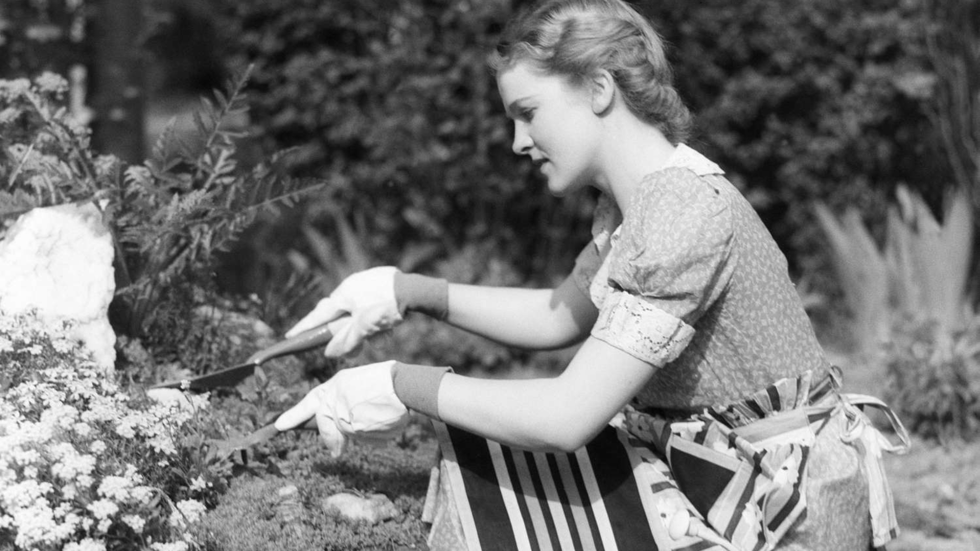 20 time-tested gardening practices worth revisiting