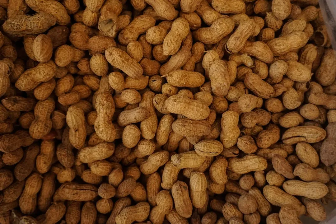 7 unusual Southern foods only real Southerners will recognize