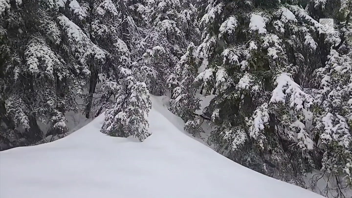 Winter wonderland in the mountains of BC