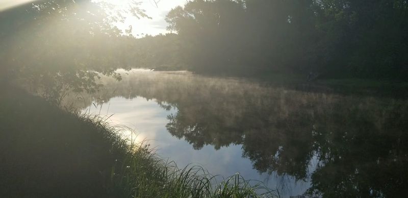 This underrated Minnesota state park delivers beautiful views without ...