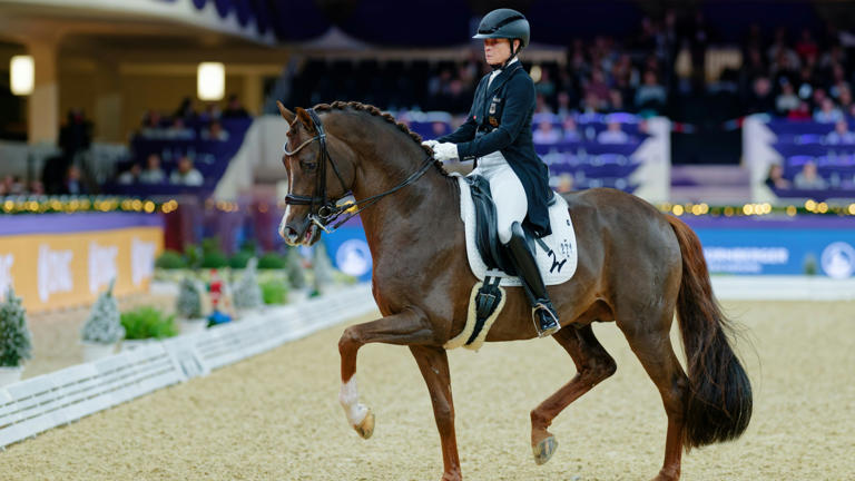Reiten: Werth auch in der Kür vorne - Tillmann folgt seinem Bruder