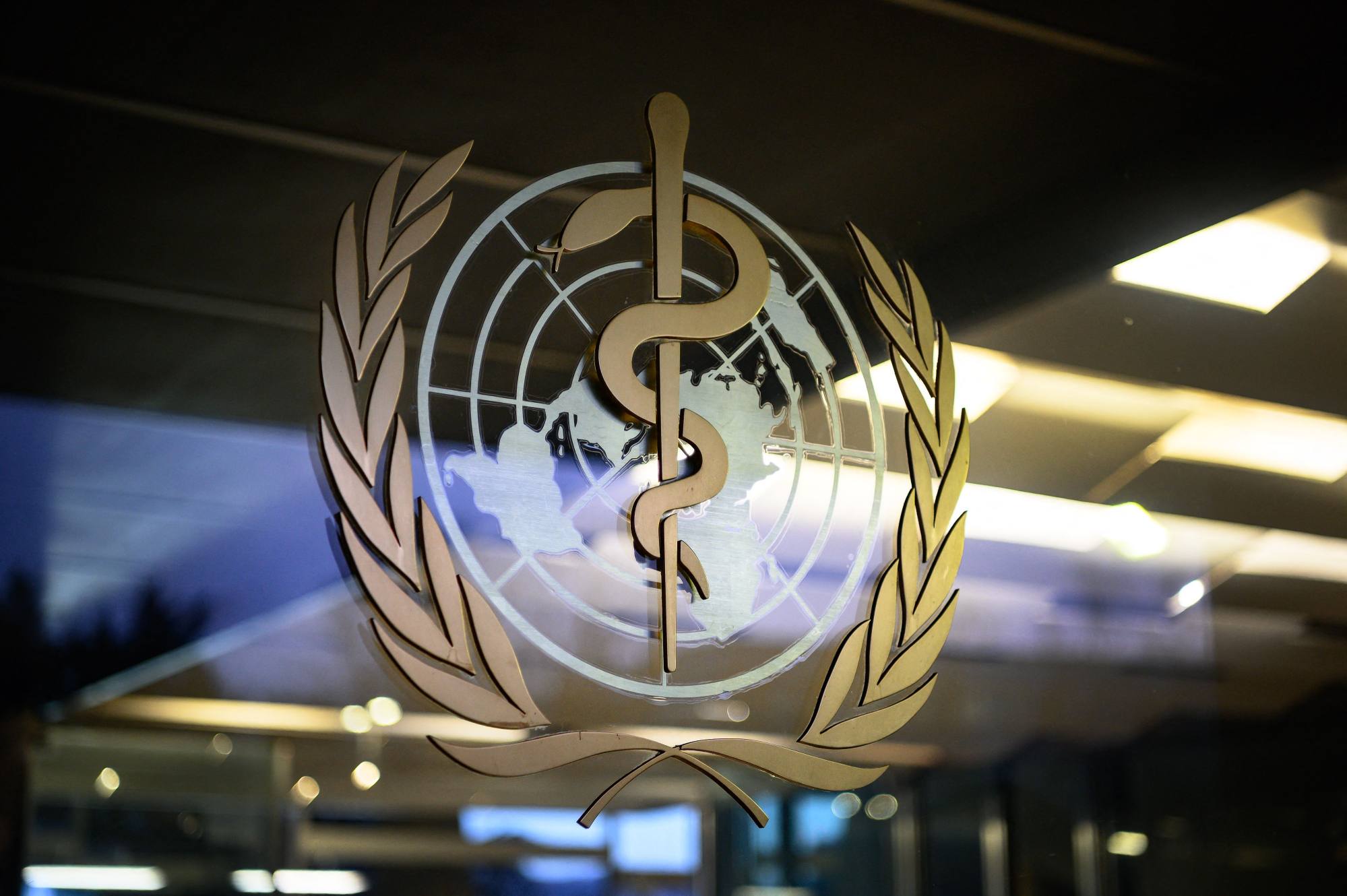 Hong Kong ramps up health checks for travellers from Africa after Ebola ...