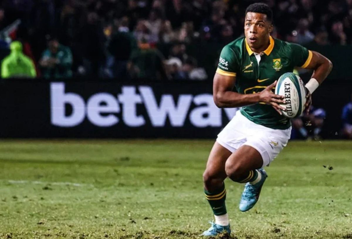 Sharks replace Springbok with Springbok