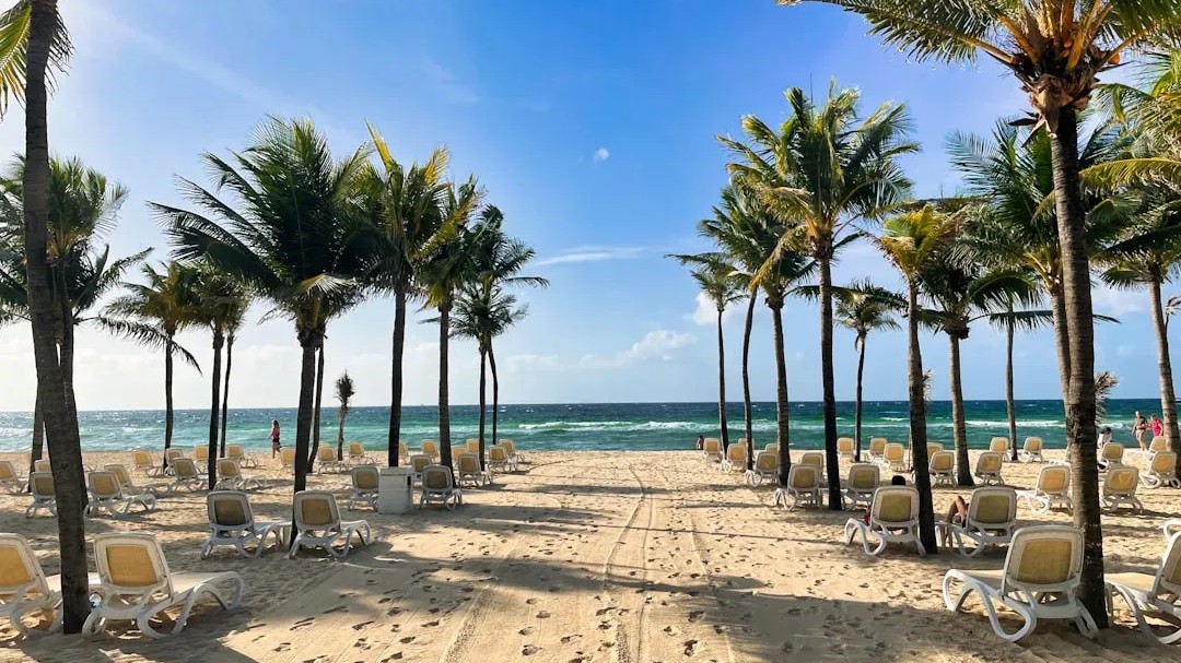 Why I no longer visit Playa del Carmen - and the alarming issues ...