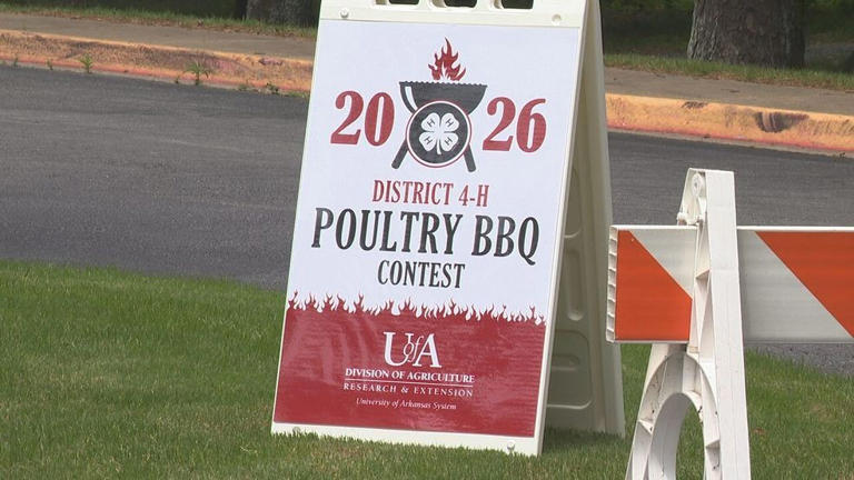 Central Arkansas teens fire up grills at 4-H barbecue contest in Little ...