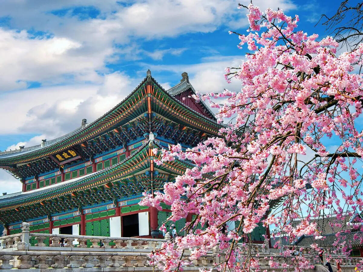 6 essential things to know before visiting South Korea
